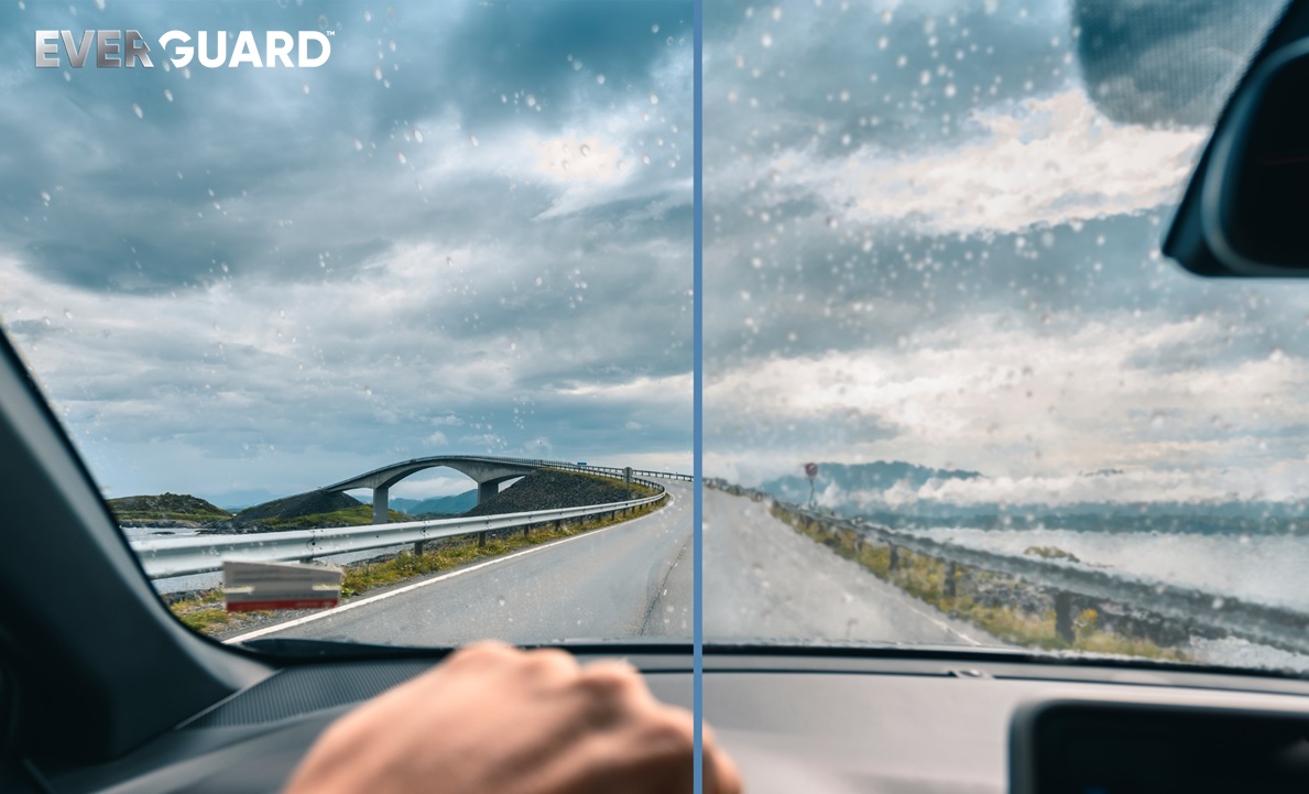 Valeo Everguard™ | Valeo Service